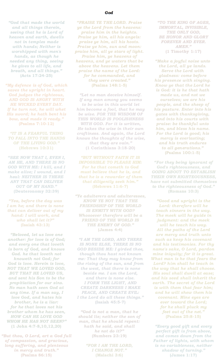 The Potted Bible – Pt I | Truth in Reality