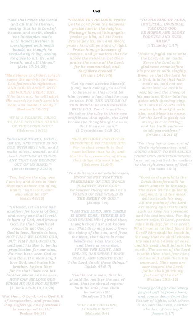 The Potted Bible – Pt I | Truth in Reality